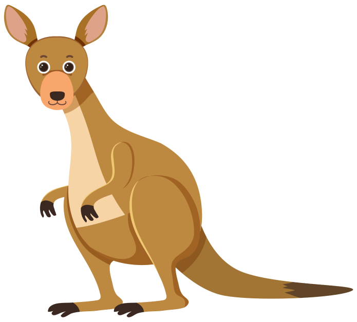 Wallaby Kids Education หลักสูตรพัฒนาการเรียนรู้และความคิดรวบยอดทาง ...